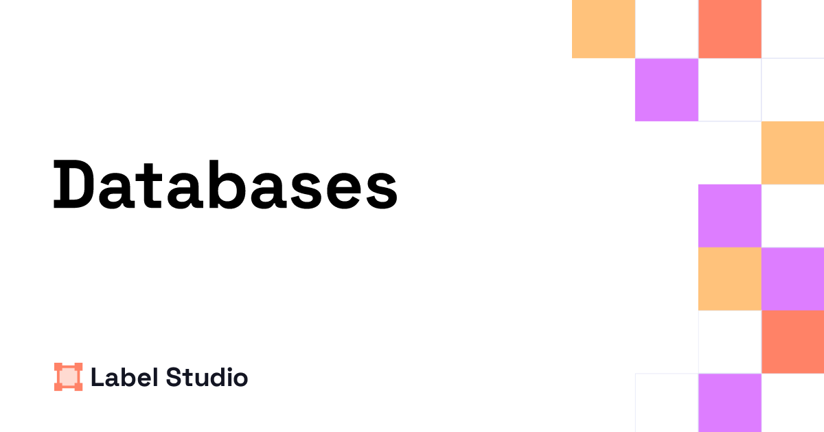 Databases | Label Studio Databases | Label Studio
